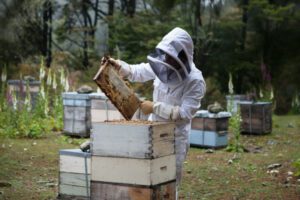 Master Beekeepers Certification Program - Eastern Apicultural Society