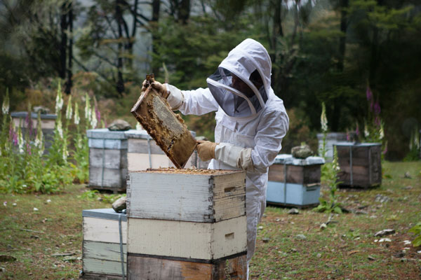 Master Beekeepers Certification Program - Eastern Apicultural Society